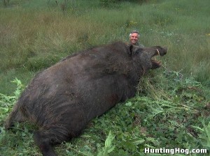 Giant Hog Killed in Texas | Hog Hunting