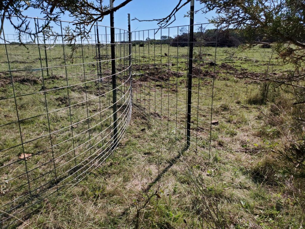 Figure 6 Hog Trap – Easy and Effective