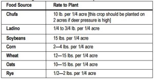 Food Plots for Wild Turkey | Turkey Management